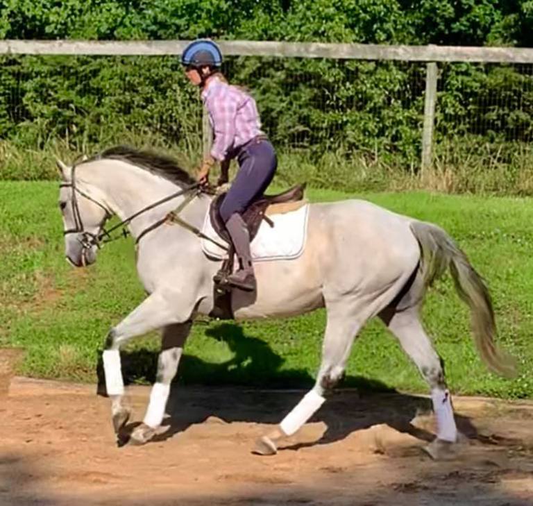 Little Kentucky Farm – Page 3 – Thoroughbred Training and Sales